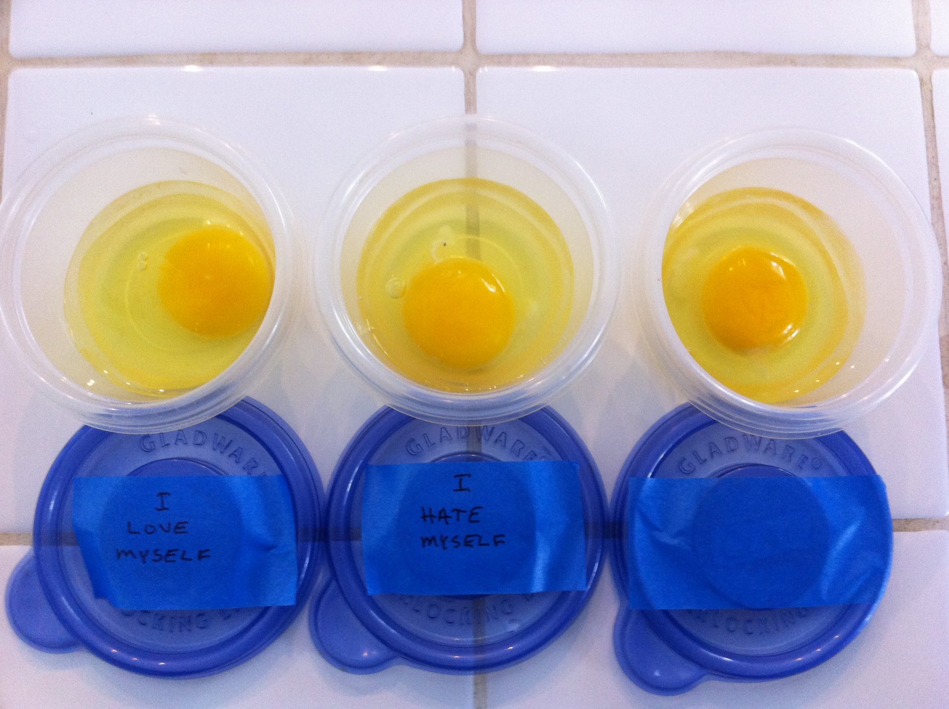 El Experimento del Huevo Billy Beck III El poder de los pensamientos y ...